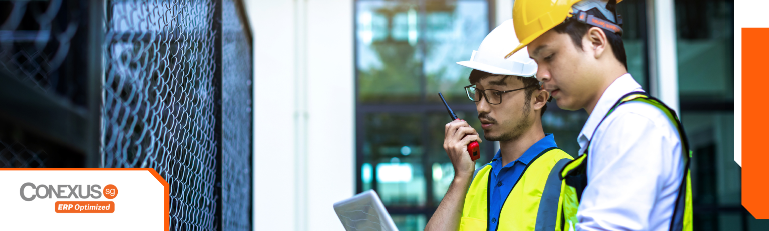 Blog - NetSuite Optimization in DFW